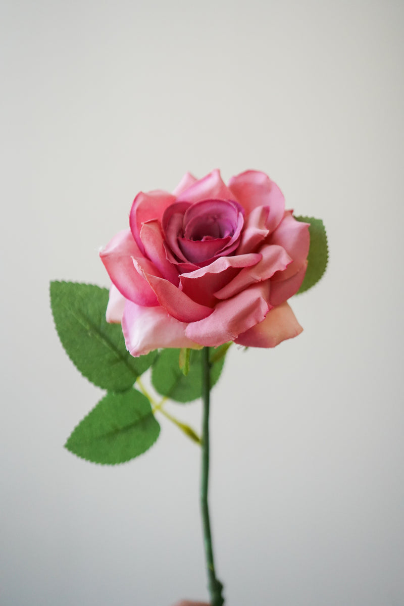 Single Open Rose (Hot Pink) – FYNW Flower Studio UK